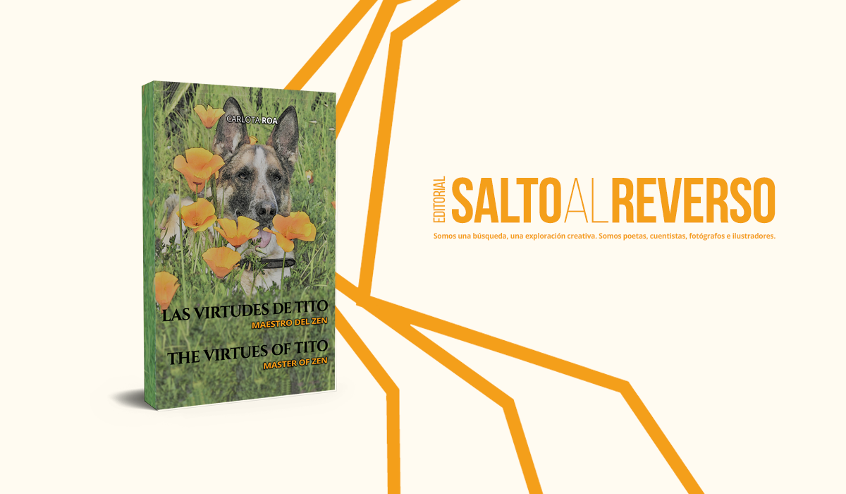 «Las virtudes de Tito / The Virtues of Tito» – Carlota Roa – Carla ...